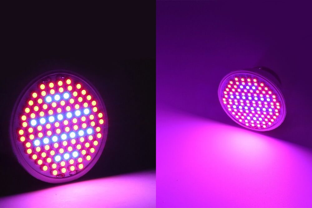 Lemputė LED E27 4W pilno spektro augalams auginti Skersmuo 50mm SMD LED ...